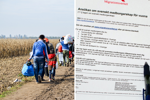 Laholms nya miniwebb för ökad integration - Voister