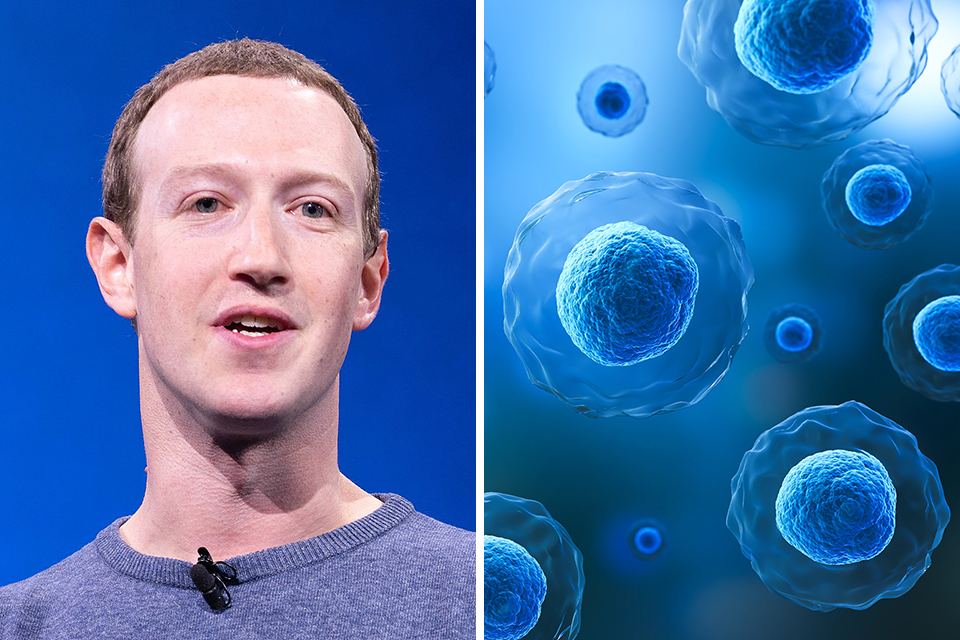 Zuckerbergs nya filantrop-AI - Voister
